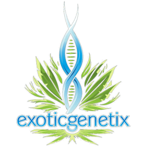 Exotic Genetix | Seeds Here Now