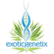 Exotic Genetix | Seeds Here Now