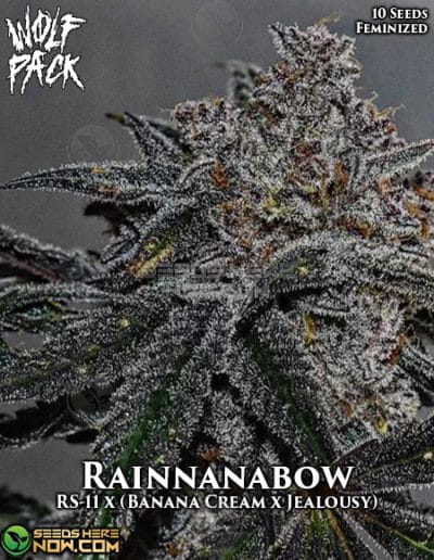 Wolf Pack Selections | Seeds Here Now Wolf Pack Selections | Seeds Here Now