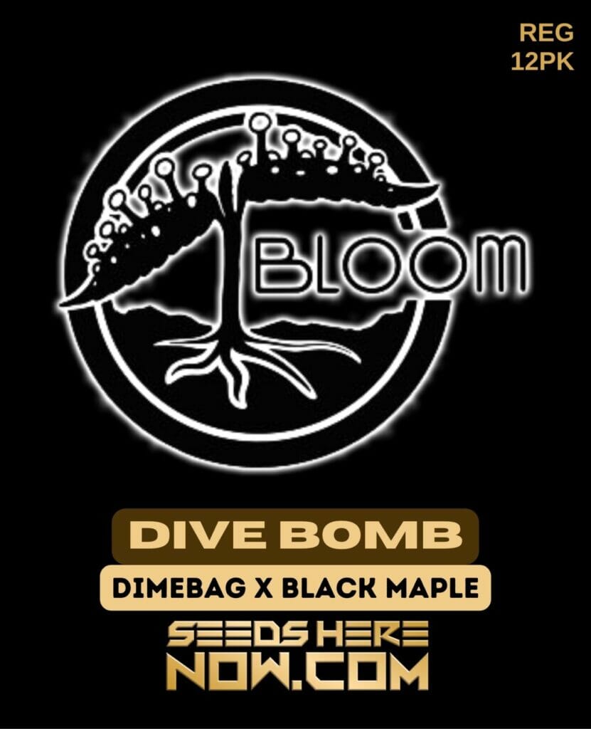 Bloom Seed Co Cannabis Seeds | SeedsHereNow.com