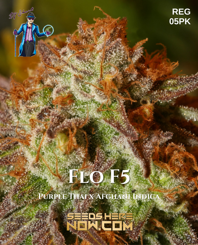 Flo Seeds F5 [6pk] - 15-20% THC, Berry Earthy Aroma