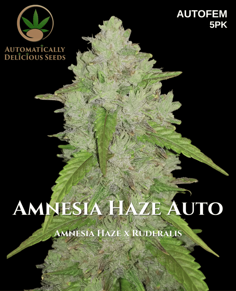 Flavor Of The Month | Cannabis Seed Deals At SeedsHereNow