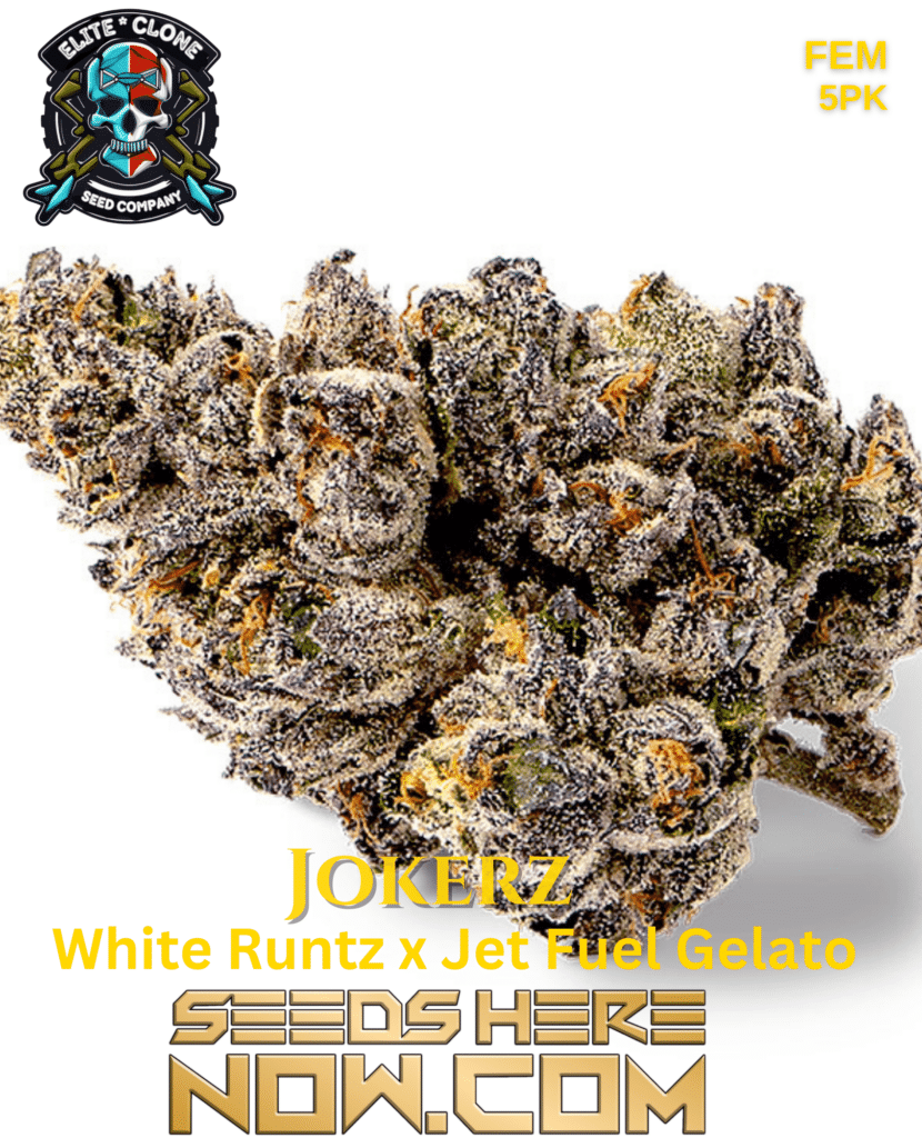Buy Jokerz Feminized Cannabis Seeds - Potent and Flavorful