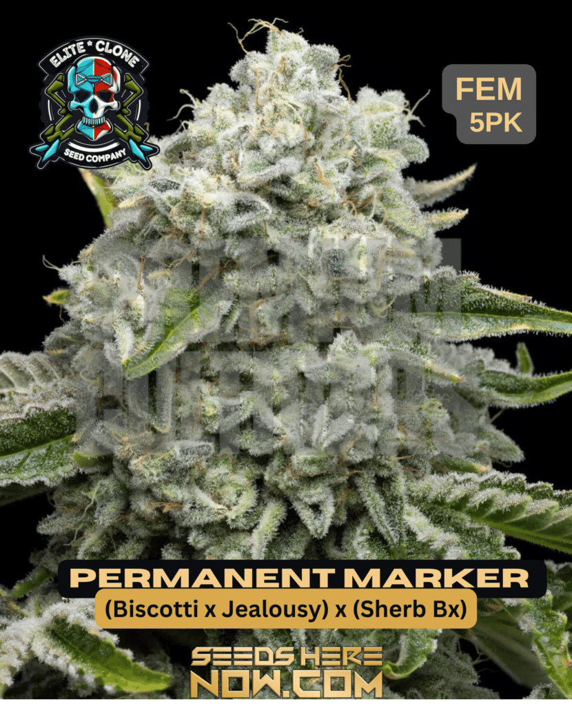 🌱 Permanent Marker : Unforgettable Cannabis Experience 🌟