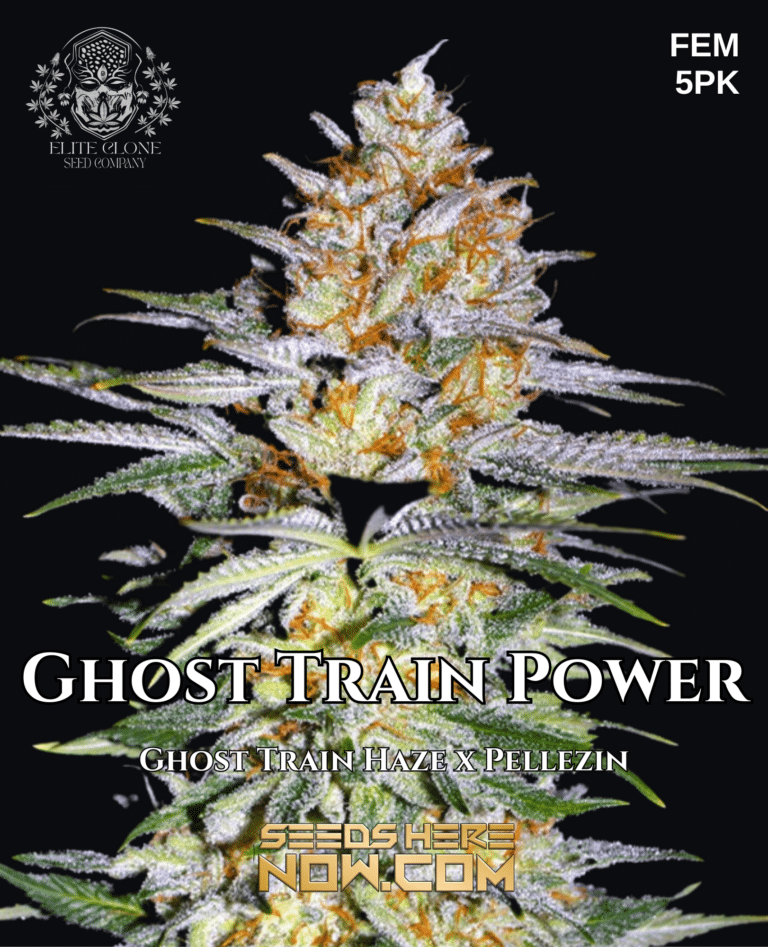 Elite Clone Seed Company – Ghost Train Power {FEM} [5pk] | Free Seed ...