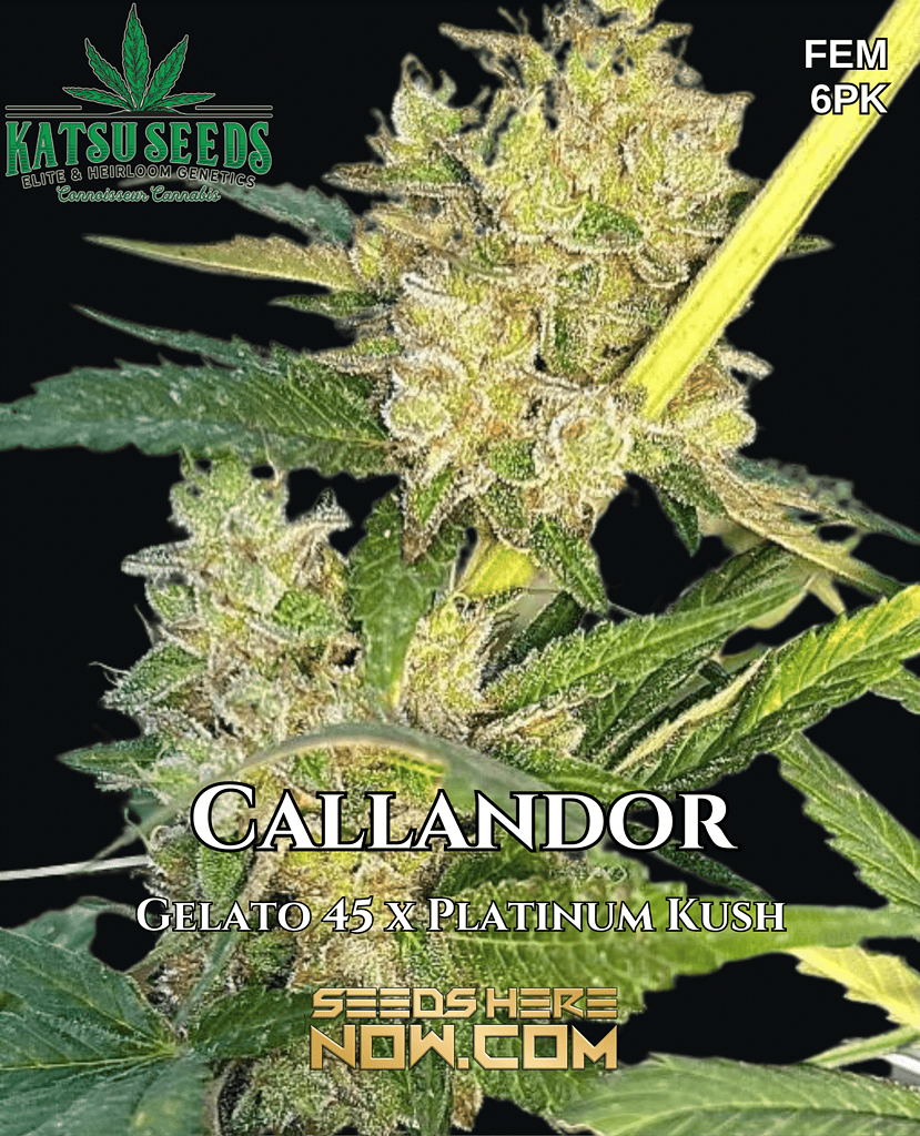Buy Callandor Feminized Cannabis Seeds -Potent and Flavorful