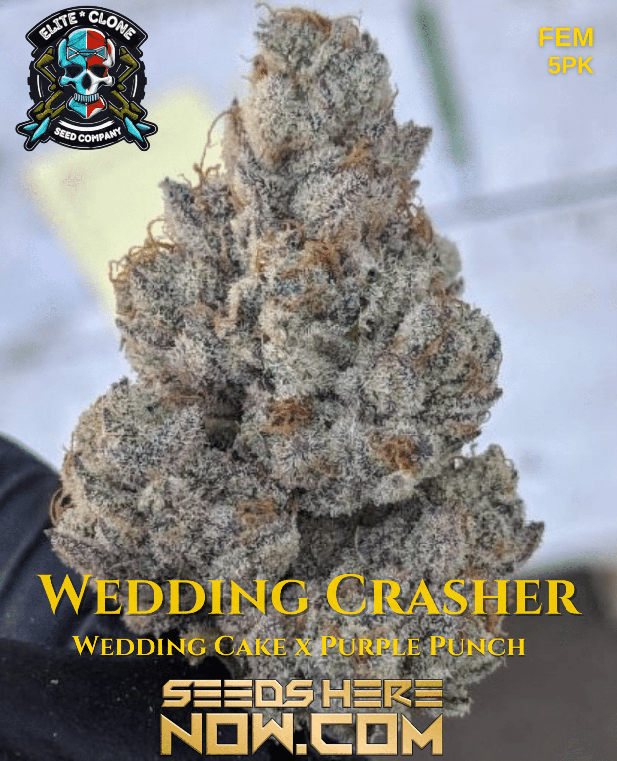 Buy Wedding Crasher Feminized Seeds - Potent and Flavorful