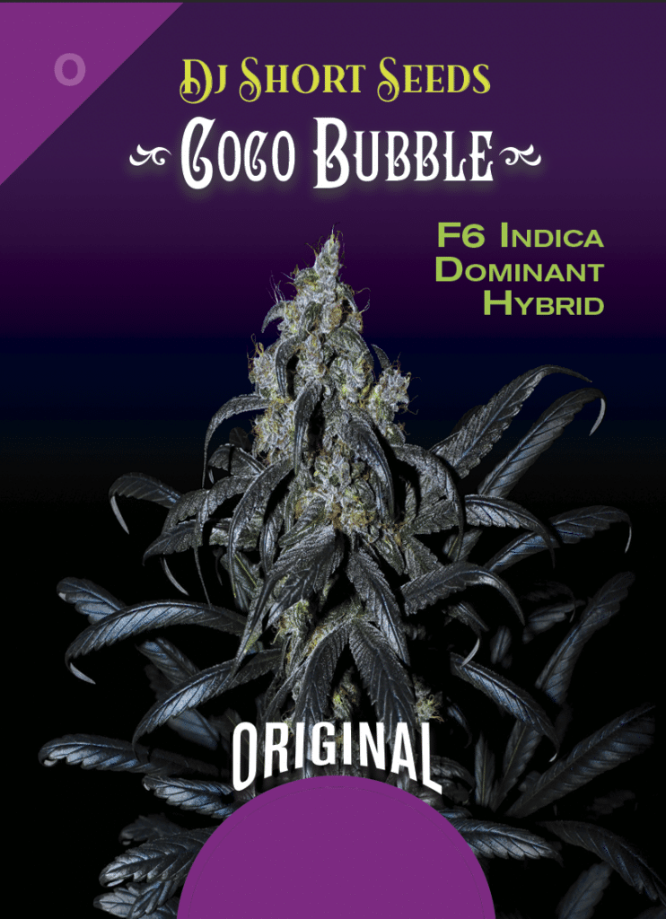 DJ Short / Old World Genetics Information - Seeds Here Now