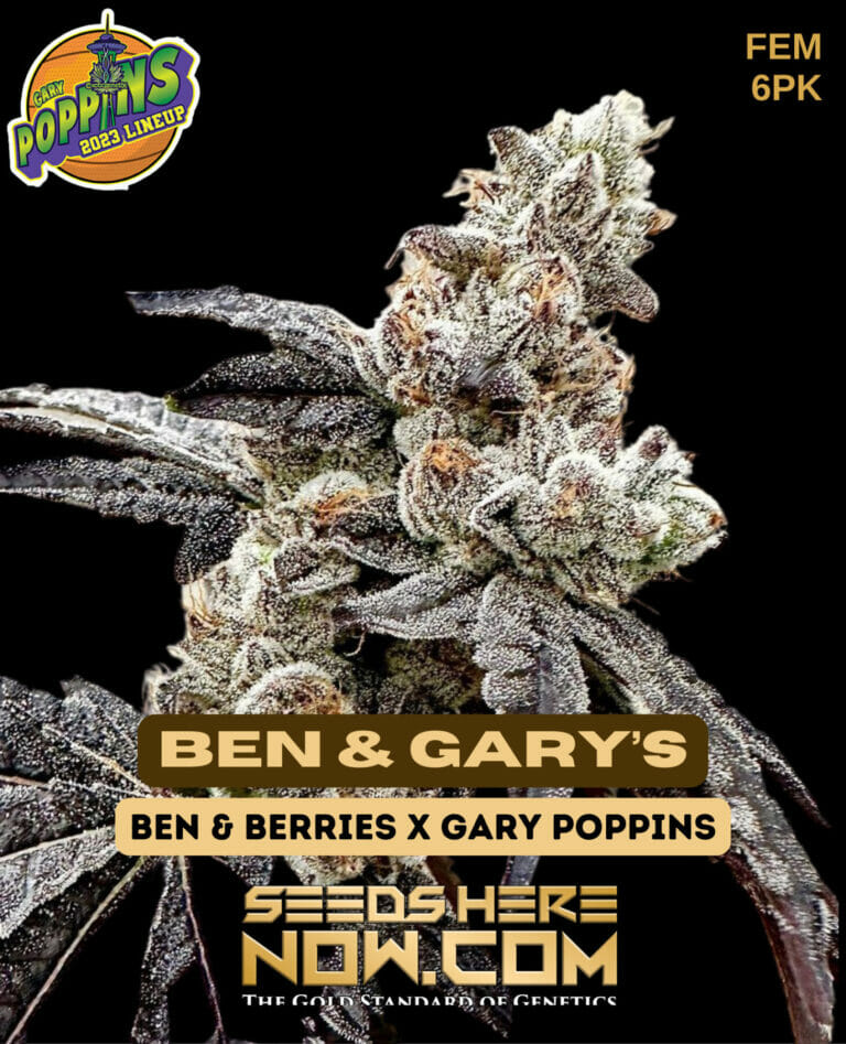 Exotic Genetix – Ben & Gary’s {FEM} [6pk] | Free Seed With Every Order ...