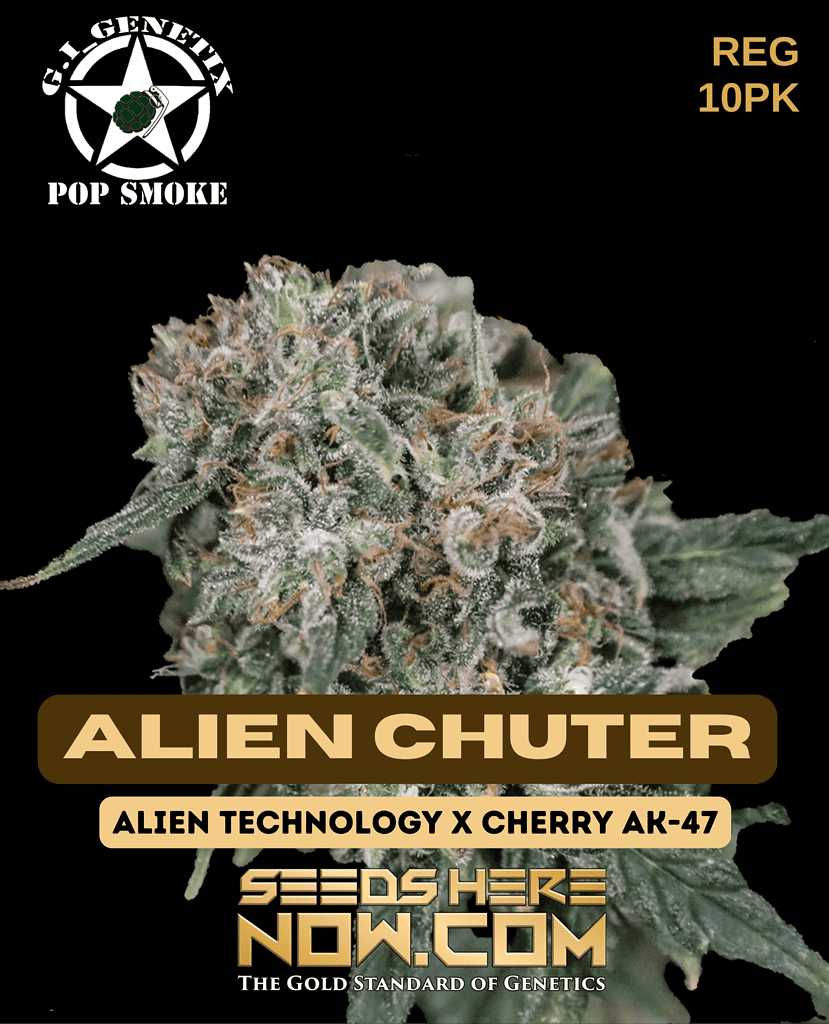 G.I. Genetix – Alien Chuter {REG} [10pk] - Seeds Here Now