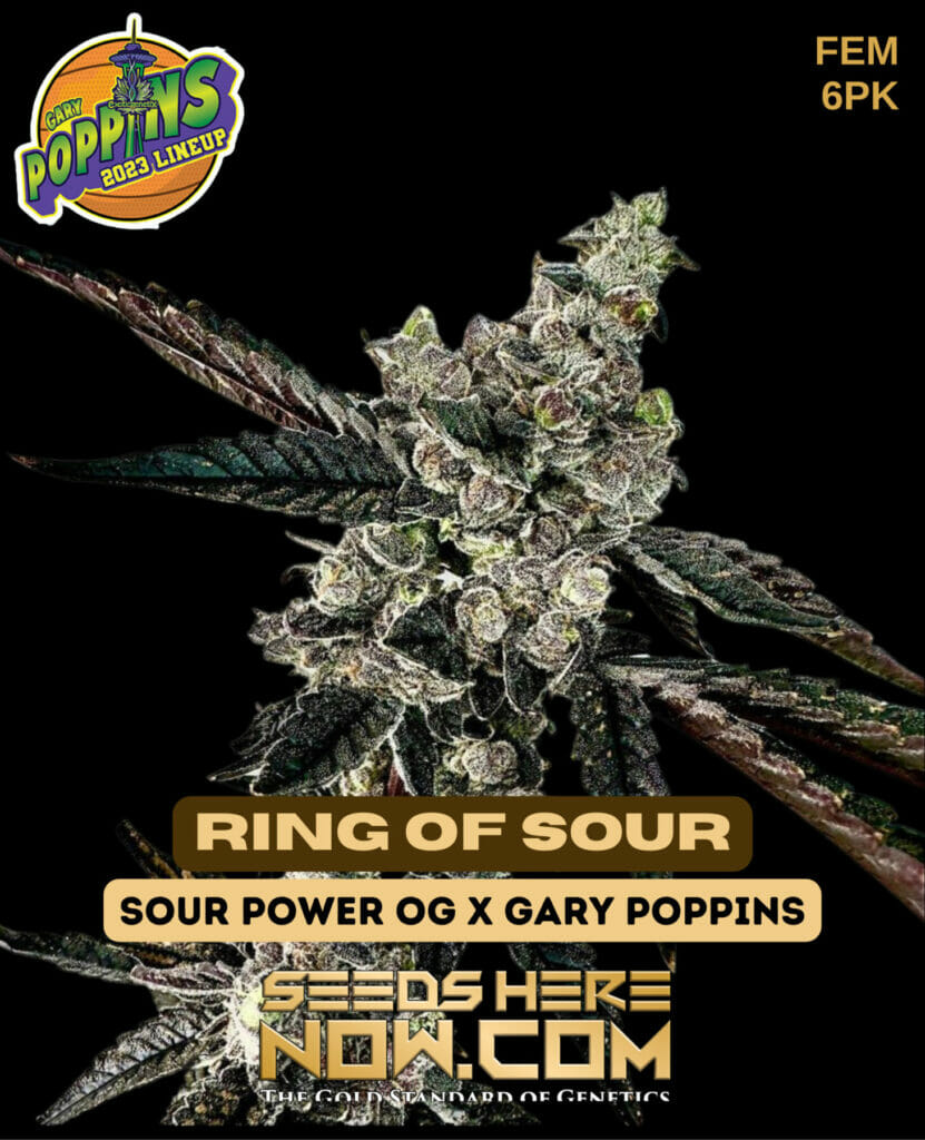 Ring Of Sour Strain Feminized Seeds - Exotic Genetix