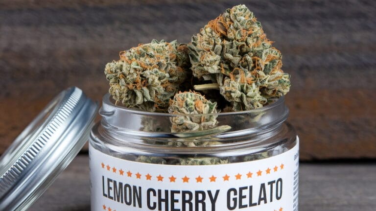 Lemon Cherry Gelato Strain Review: Cannabis Effects & Flavor