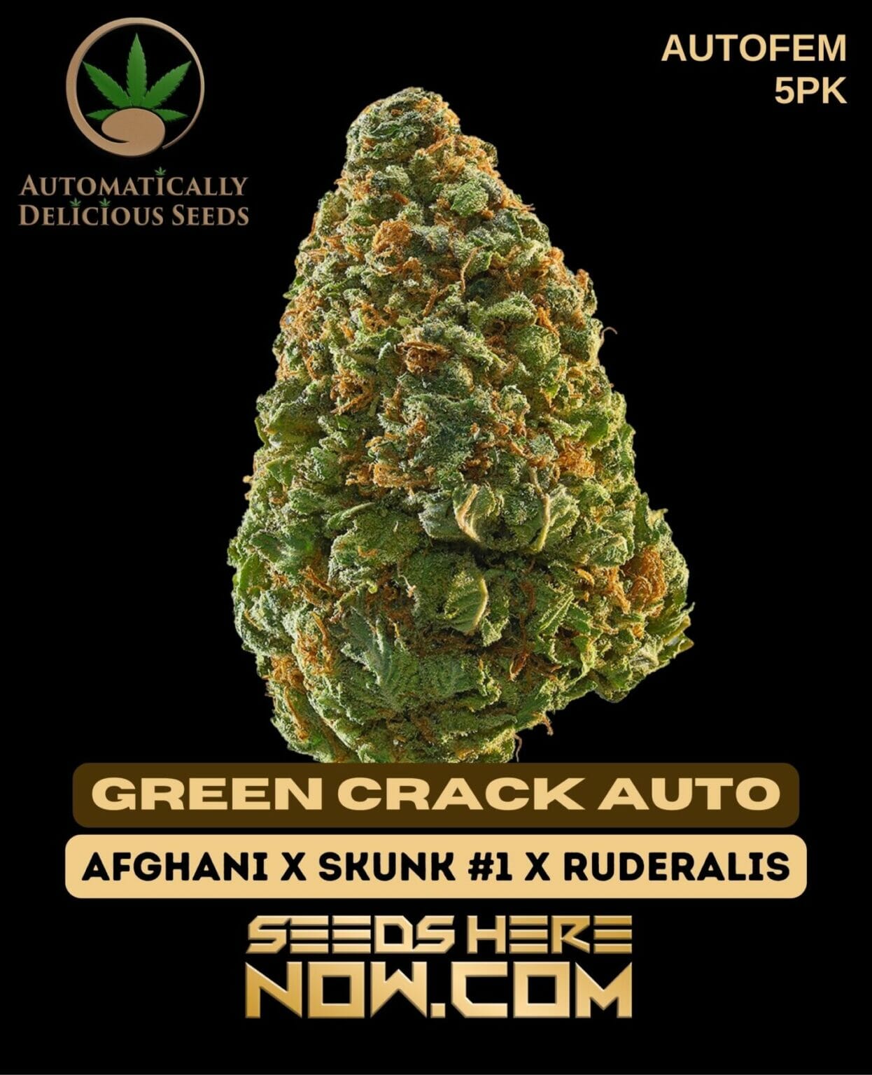 Buy Green Crack Auto Autoflower Seeds - Uplifting & Energizing