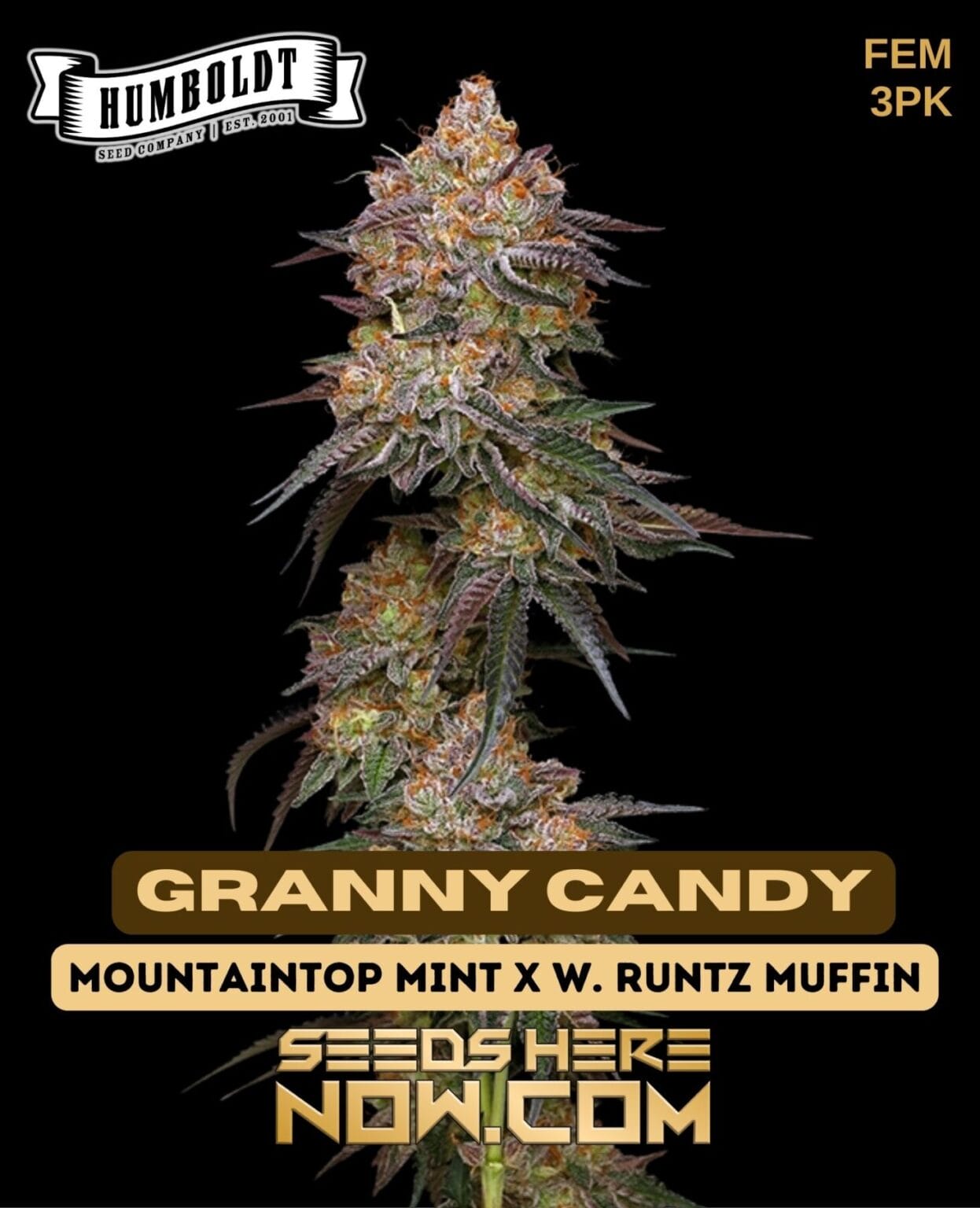 Granny Candy Feminized Marijuana Seeds For Sale | Dense Buds