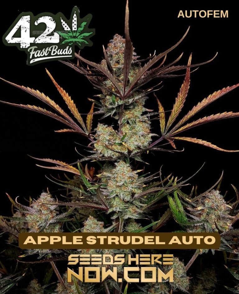 Fast Buds 420: Premium Cannabis Seeds - Auto Flowers & More