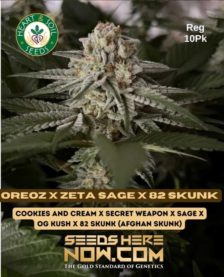 Oreoz X Zeta S.A.G.E. X 82 Skunk Regular Weed Seeds 10-Pack