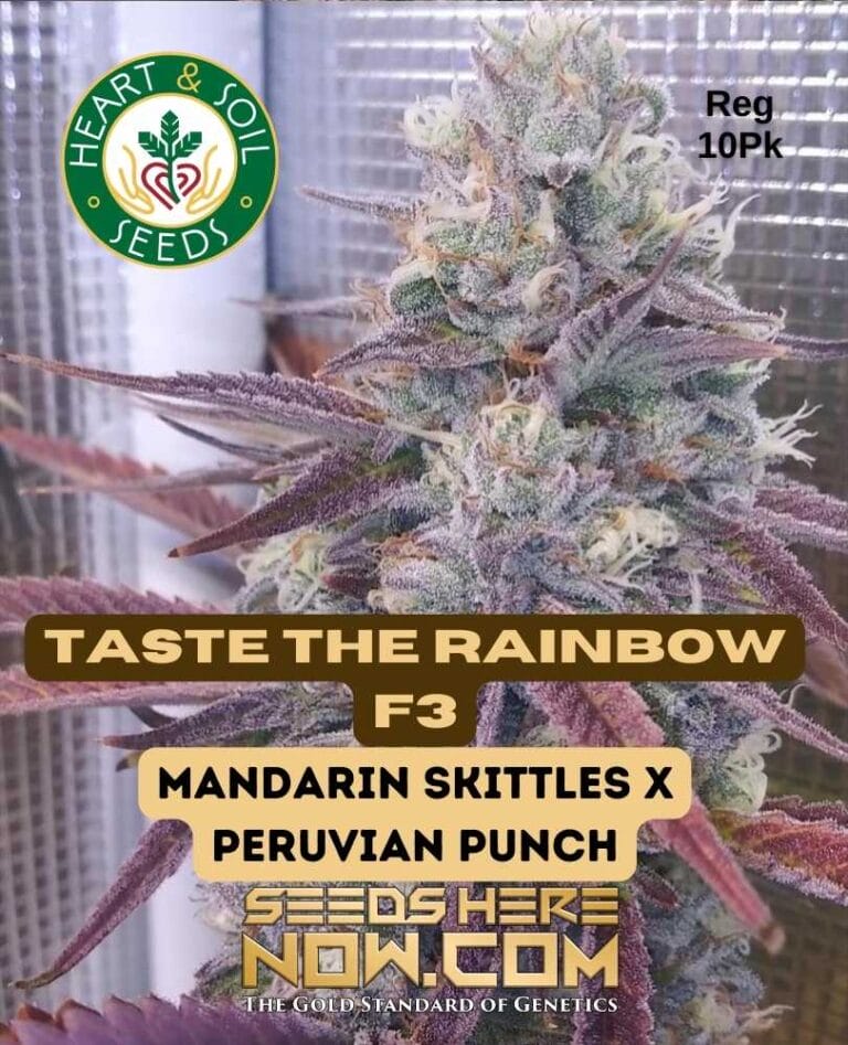 Taste The Rainbow F3 Regular Weed Seeds 10-Pack | Dense Buds