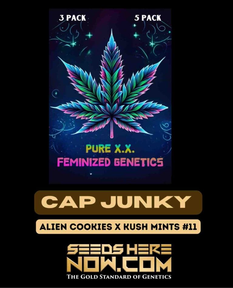 Cap Junky S1 (Feminized) – Pure XX - Seeds Here Now