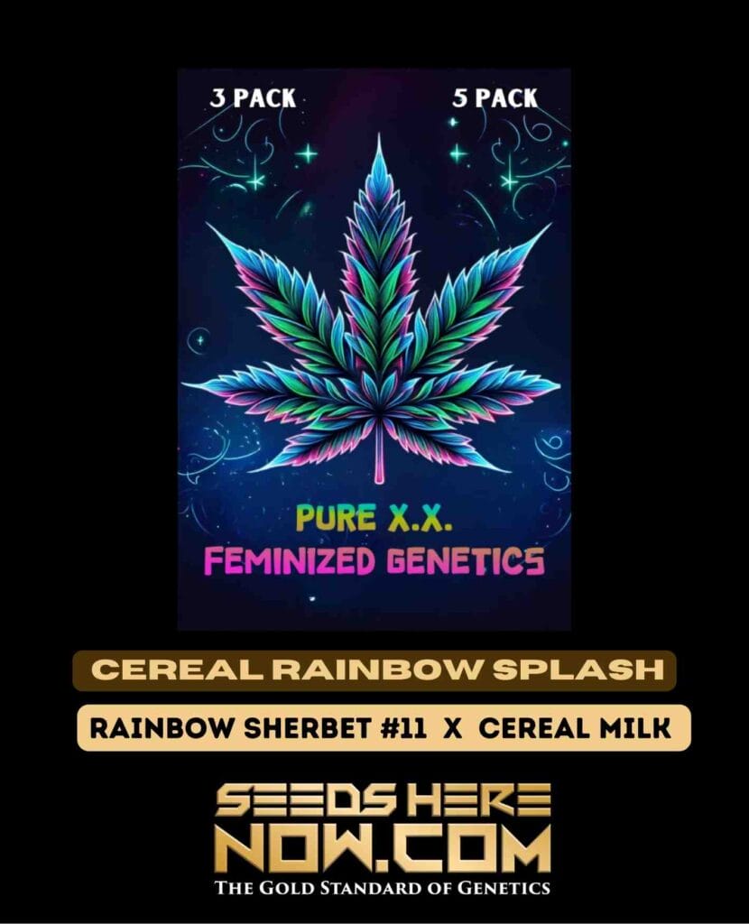 Pure XX – Cereal Rainbow Splash {FEM} - Seeds Here Now