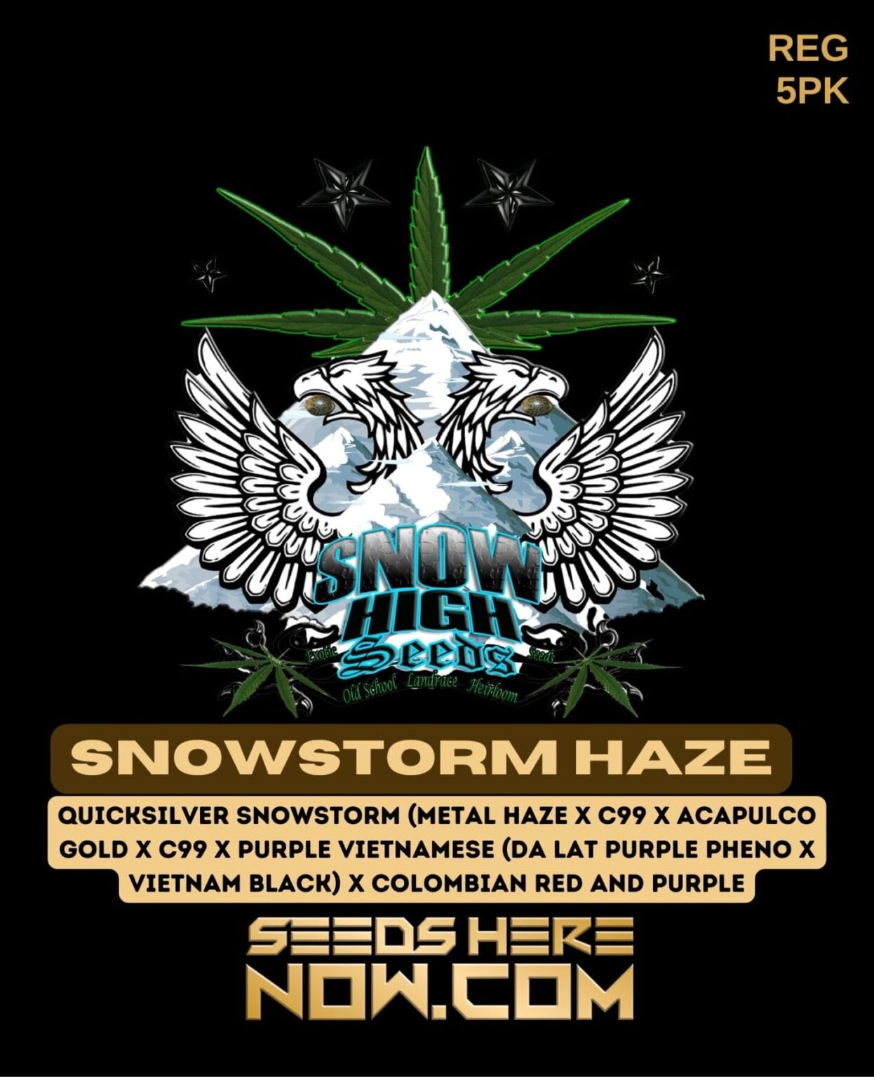 Snow High Seeds – Snowstorm Haze {REG} [5pk] - Seeds Here Now