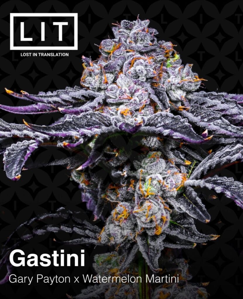 LIT Farms Information - Seeds Here Now