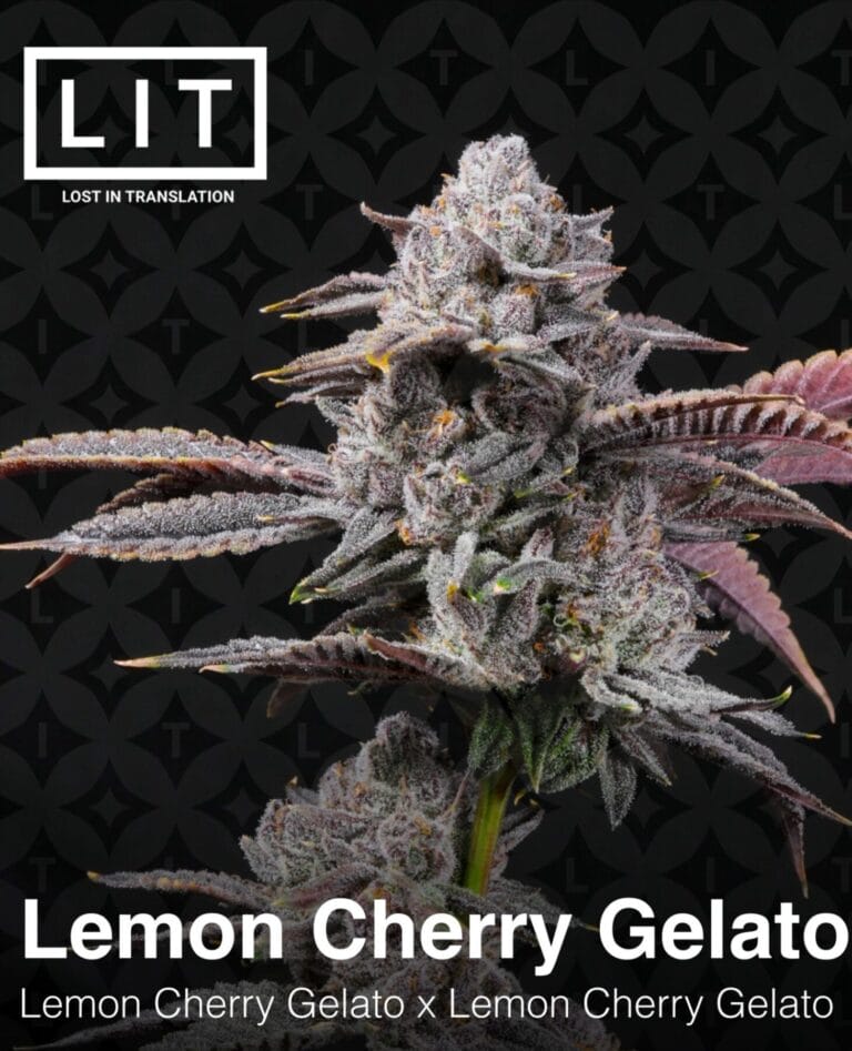 LIT Farms Information - Seeds Here Now