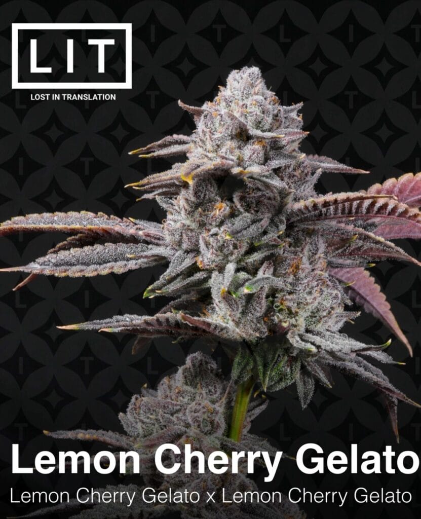 LIT Farms Information - Seeds Here Now