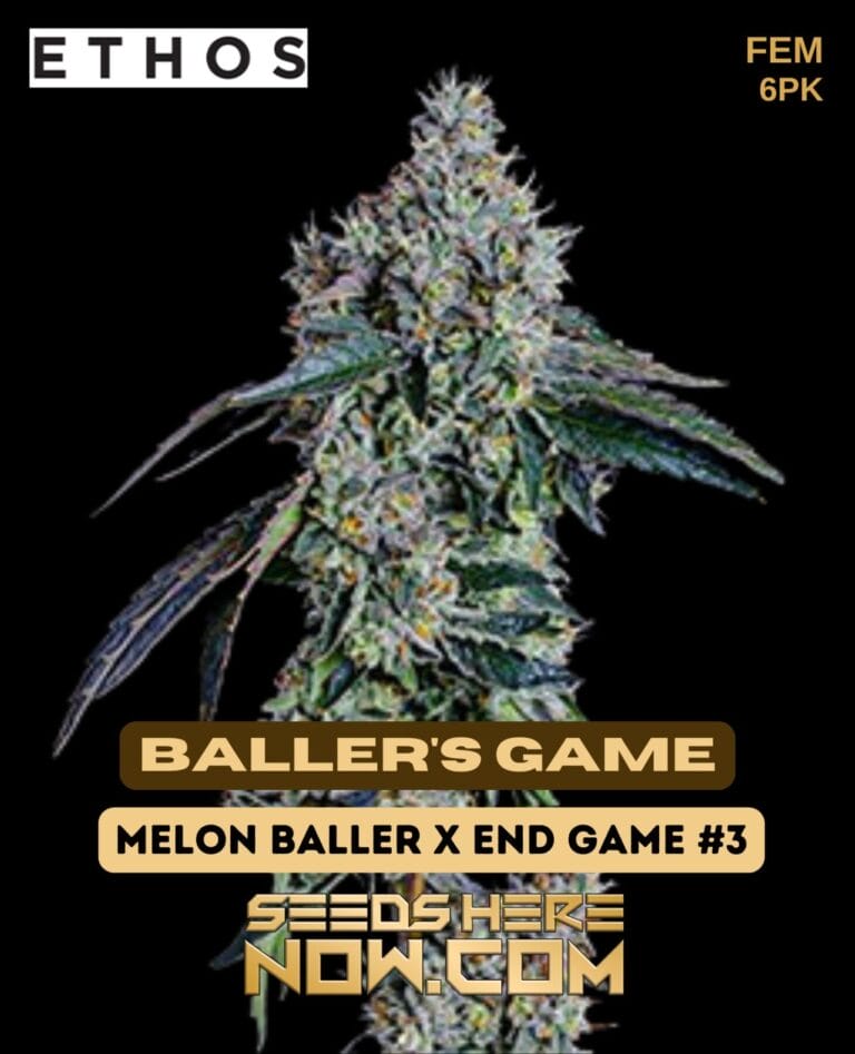 Ethos Genetics Information - Seeds Here Now