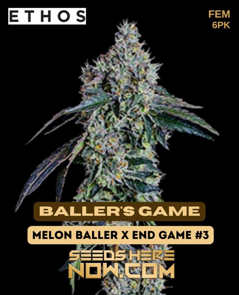 Ethos Genetics Information - Seeds Here Now