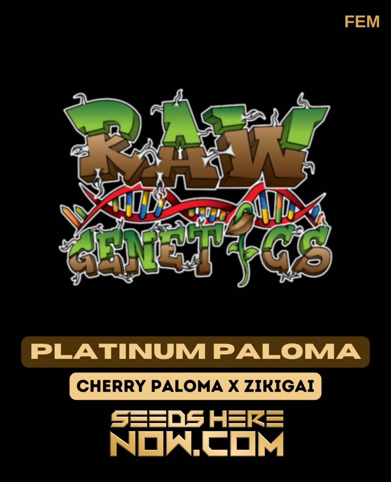 Platinum Paloma (Feminized) – Raw Genetics - Seeds Here Now