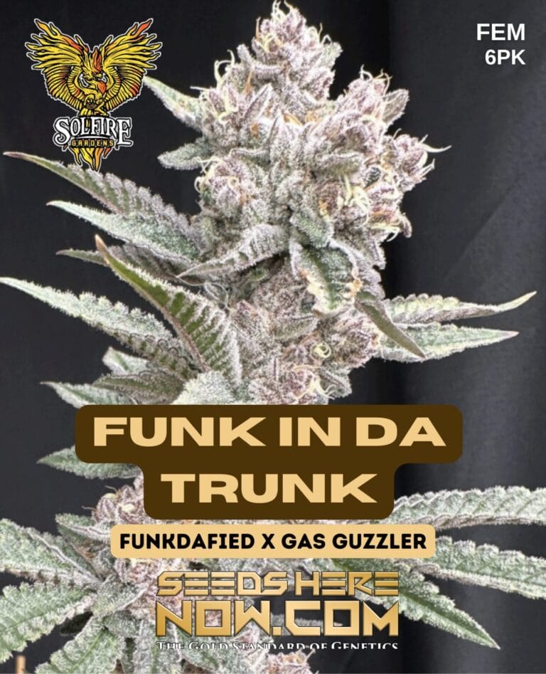 About Solfire Gardens Seeds & Strains | Seeds Here Now | 🌿🔥