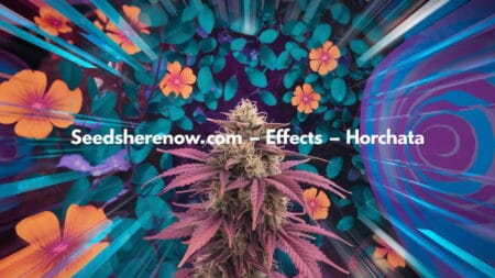 Horchata Strain Review: Cannabis Effects & Grow Tips