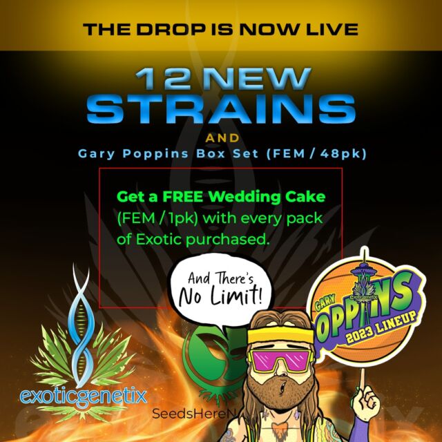 Serious Seeds - Warlock {REG} [11pk] | SeedsHereNow