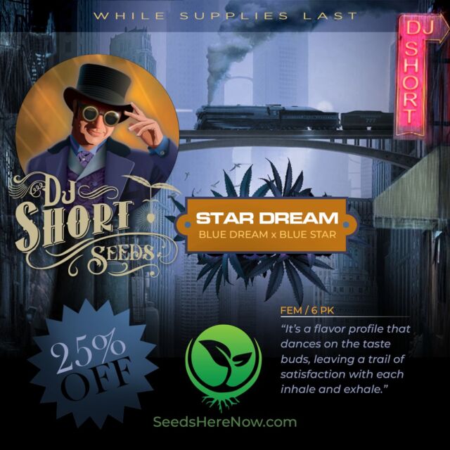 Serious Seeds - Warlock {REG} [11pk] | SeedsHereNow